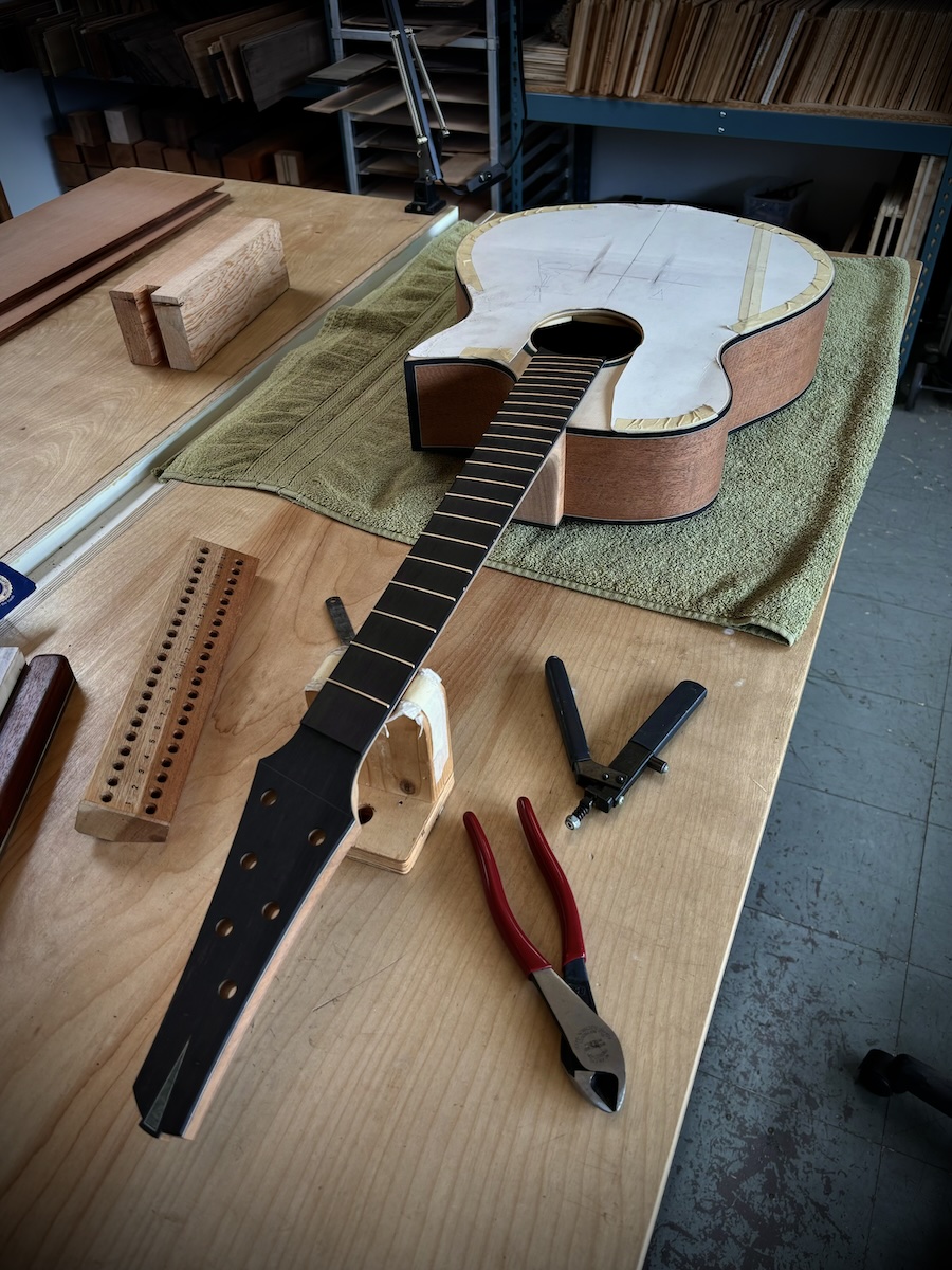 Build Thread: Buendia OM Cutaway Multiscale Adi/Hog - Page 6 - The ...